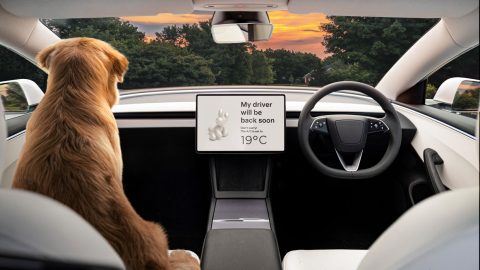 Tesla Model 3 2023: price and specifications - Chasing Cars
