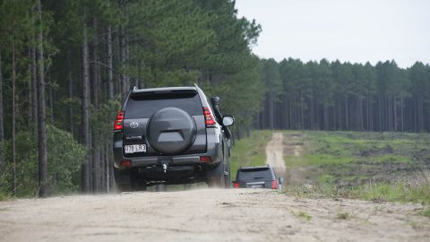 Toyota LandCruiser Prado GXL 150 Series vs 250 Series comparison - Chasing Cars